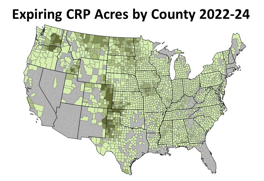 Policy Briefs | Rural & Farm Finance Policy Analysis Center